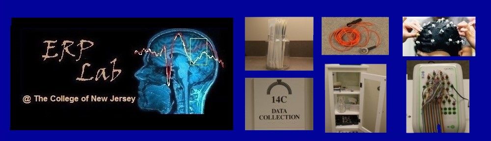 Participant Information | Dr. Leynes ERP Lab